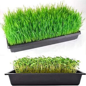 YTKD (10 Pack) 1020 Plant Growing Trays Extra Strength Durable Black Plastic Growing Trays for Seeds Seedlings Cloning Indoor Gardening, Sprouts and Microgreen(Without Drain Holes)