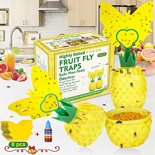 Protecker Fruit Fly Trap with Sticker, Effective Fly Catcher Gnat Trap with Yellow Sticky Traps, Gnat Trap with Bait for Indoor and Outdoor Safe Non-Toxic Fly Trap for Home, Plant, Kitchen(2 Pack)