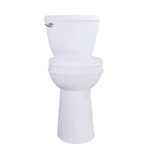 SouNor SN1088 Elongated Two Piece Toilet 1.28 GPF Extra 21" Tall Bowl Comfortable Right Seat Height Soft Closing Seat White