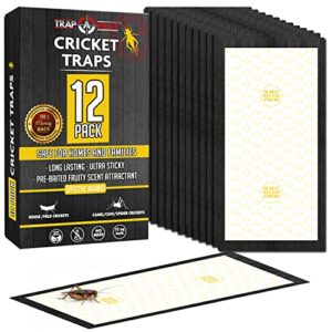 cricket traps indoor (12 traps) extra large bug sticky traps - non-toxic extra sticky glue traps for bugs - pre-baited fruity scent crickets bug trap indoor - insect glue traps for bugs - trap a pest