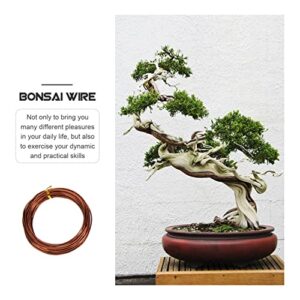 Happyyami 5 Rolls Bonsai Tool Set House Plants Indoors Live Bonsai Tree Training Wires Indoor Bonsai Tree Wire DIY Tools Small Trunks Training Wires Green Tie Branch Molding Line Aluminum