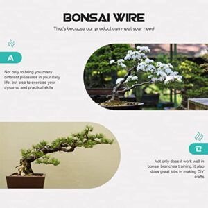 Happyyami 5 Rolls Bonsai Tool Set House Plants Indoors Live Bonsai Tree Training Wires Indoor Bonsai Tree Wire DIY Tools Small Trunks Training Wires Green Tie Branch Molding Line Aluminum