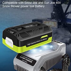 Aoasur 6.0Ah Battery Replacement for Snow Joe 40V and Sun Joe 40V Battery (Green)