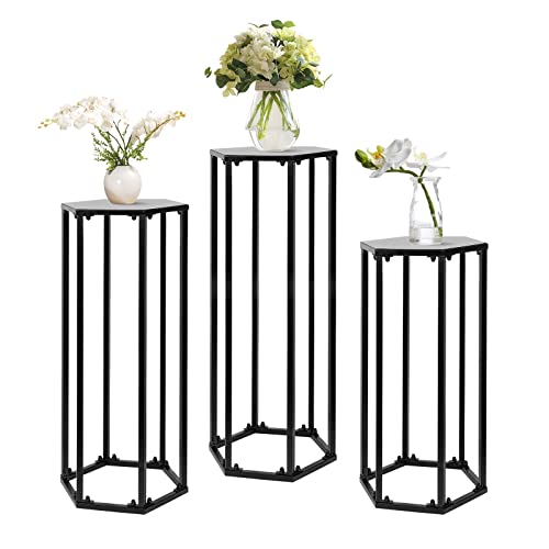 DAILY&DIARY Plant Stand Indoor Set of 3, Modern Hexagon Tall Plant Stand Outdoor Plant Stand Nesting Metal Plant Stand Flower Pot Shelf Holder for Living Room,Patio, Party, Wedding Decor (hex-black)