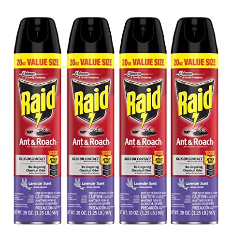 Raid Ant & Roach Killer Spray for Listed Bugs, Keeps Killing for Weeks, Lavender Scent, 20 oz (4 Cans)