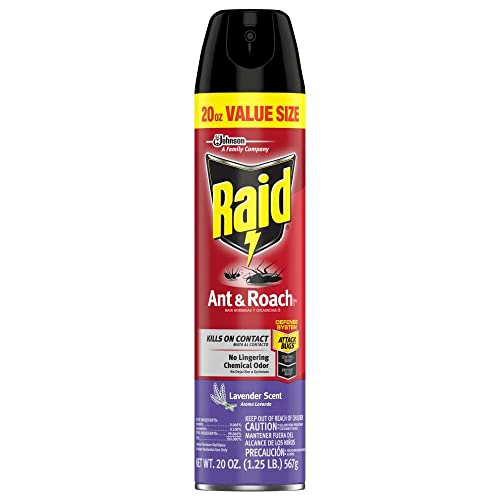 Raid Ant & Roach Killer Spray for Listed Bugs, Keeps Killing for Weeks, Lavender Scent, 20 oz (4 Cans)