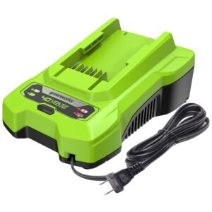 greenworks 40v battery charger (genuine greenworks charger)