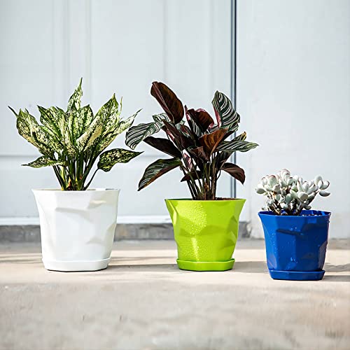 HBSGS Plant Pots Plastic Flower Pots Set with Drainage Holes and Saucers Planter for Indoor Plants Outdoor Plants and Flowers, Colorful