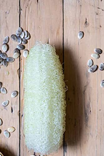 Luffa Sponge Gourd Seeds Vegetable Sponge Smooth Loofah 30 Seeds