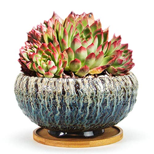 Summer Impressions 8 Inch Natural Cracking Round Ceramic Succulent Planter Pot with Drainge Hole and Saucer Cactus Clay Pot