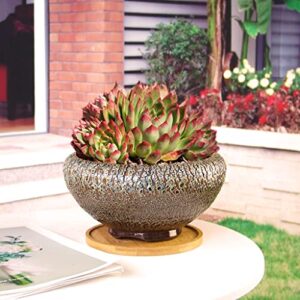 Summer Impressions 8 Inch Natural Cracking Round Ceramic Succulent Planter Pot with Drainge Hole and Saucer Cactus Clay Pot