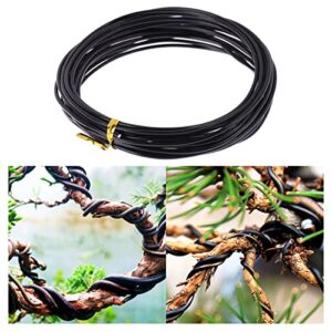 Queenbox 10m Length 2.5mm Tree Training Wires, Anodized Aluminum Bonsai Training Wire Roll for Bonsai Plants Branches Trunks Shaping, Black