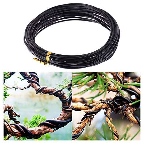 Queenbox 10m Length 2.5mm Tree Training Wires, Anodized Aluminum Bonsai Training Wire Roll for Bonsai Plants Branches Trunks Shaping, Black