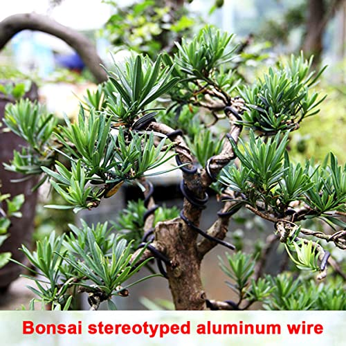 Queenbox 10m Length 2.5mm Tree Training Wires, Anodized Aluminum Bonsai Training Wire Roll for Bonsai Plants Branches Trunks Shaping, Black