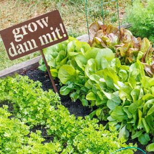 Grow Dammit Garden Signs Decor- Metal Garden Stakes Sign Funny Gardening Gifts with Gift Box for Women Men and Gardeners (19.7 Inches Tall)