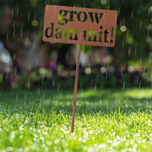 Grow Dammit Garden Signs Decor- Metal Garden Stakes Sign Funny Gardening Gifts with Gift Box for Women Men and Gardeners (19.7 Inches Tall)