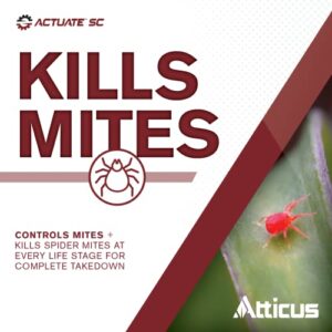 Actuate SC Bifenazate Miticide (8 oz) by Atticus (Compare to Floramite) – Long Lasting Mite Control in Interior and Exterior Landscapes