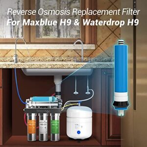 Waterdrop WD-H9-RO Filter, 24-month Lifetime, Replacement for Waterdrop WD-H9 & MB-H9 Reverse Osmosis System