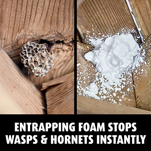 Ortho Home Defense Hornet & Wasp Killer with Entrapping Foam and Jet Spray, 16 oz. (2-Pack)