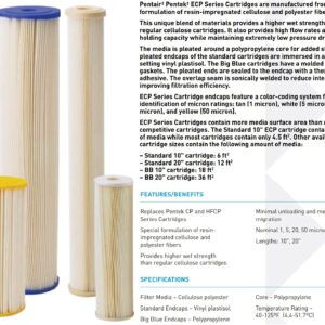 Pentair Pentek ECP20-20BB Big Blue Sediment Water Filter, 20-Inch, Whole House Heavy Duty Pleated Cellulose Polyester Replacement Cartridge, 20" x 4.5", Blue End-Cap, 20 Micron, Pack of 6