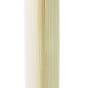 Pentair Pentek ECP20-20BB Big Blue Sediment Water Filter, 20-Inch, Whole House Heavy Duty Pleated Cellulose Polyester Replacement Cartridge, 20" x 4.5", Blue End-Cap, 20 Micron, Pack of 6