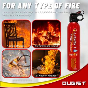 Ougist Fire Extinguisher for Home 620ml 2 Count,Can Prevent Re-Ignition,Best Suitable for Vehicle The House Car Truck Boat Kitchen Water-Based Fire Extinguisher