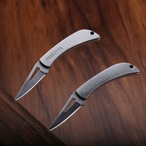 AMSOTTA 2-Pack Small Pocket Knife, Mini Keychain Knife, Tiny Stainless Steel Folding Knife, EDC Box Cutter, Envelope Opener, Utility Knife, Stocking Stuffers for Men and Women