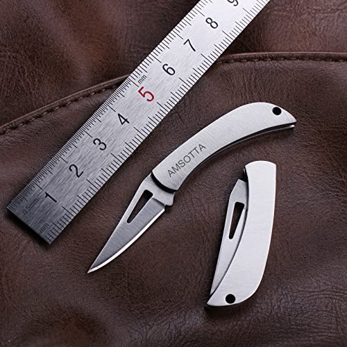 AMSOTTA 2-Pack Small Pocket Knife, Mini Keychain Knife, Tiny Stainless Steel Folding Knife, EDC Box Cutter, Envelope Opener, Utility Knife, Stocking Stuffers for Men and Women