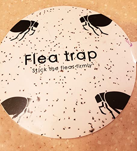 12 Packs Flea Trap Refill Discs for Inside Your Home, Natural Flea Light Trap Sticky Pads for Flea Detection.