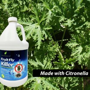 Natural Elements Fruit Fly Killer | Drain Flies, Gnats, Flying Ants | Home & Commercial Use | Non-Toxic Gel Formula | 1 Gallon | 128 Fl Oz