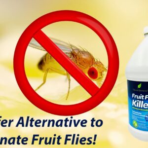 Natural Elements Fruit Fly Killer | Drain Flies, Gnats, Flying Ants | Home & Commercial Use | Non-Toxic Gel Formula | 1 Gallon | 128 Fl Oz