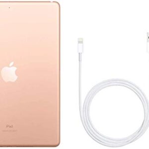 2019 Apple iPad (10.2-inch, Wi-Fi, 128GB) - Gold (Renewed Premium)