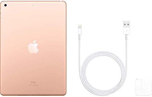 2019 Apple iPad (10.2-inch, Wi-Fi, 128GB) - Gold (Renewed Premium)