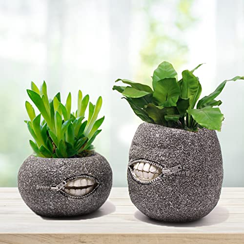 Face Planter Pot, Bonsai Pots Simple Style Resin Material for Office