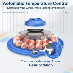 8-33 Eggs Incubator for Hatching Eggs, Double Egg Chicken Duck Goose Pigeon Quail Trays with Automatic Egg Turning and Water Adding, Egg Candler, Farm Poultry