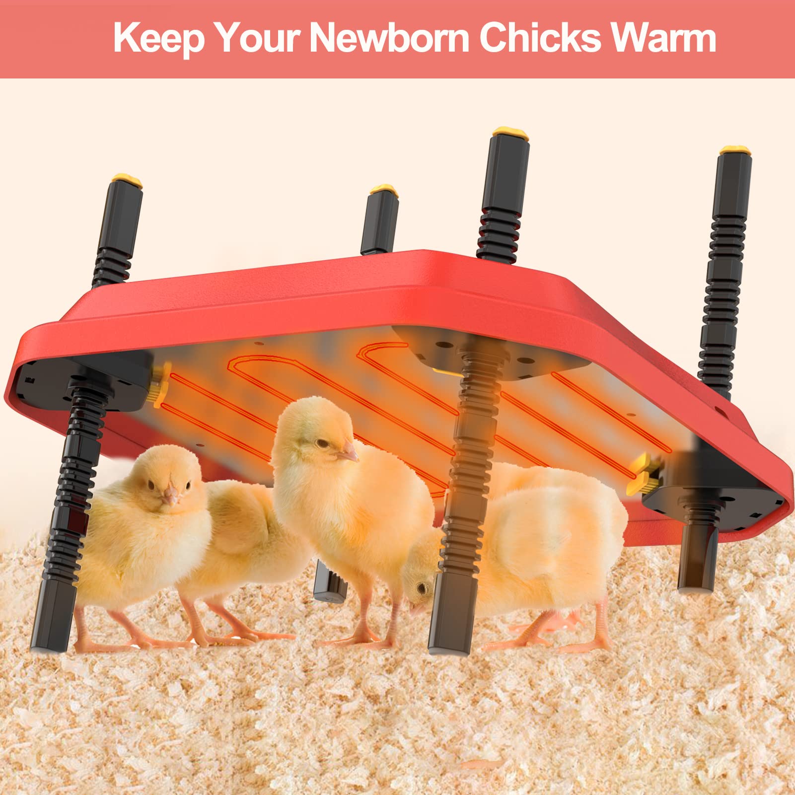 OUYOLAD Chick Brooder Heating Plate 16" x 24", Chicken Brooder with Temperature Adjustable, Brooder Heater Plate, Chicks Heating Plate for chicks with Adjustable Height 66W Warms Up to 50 Chicks