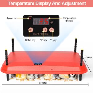 OUYOLAD Chick Brooder Heating Plate 16" x 24", Chicken Brooder with Temperature Adjustable, Brooder Heater Plate, Chicks Heating Plate for chicks with Adjustable Height 66W Warms Up to 50 Chicks