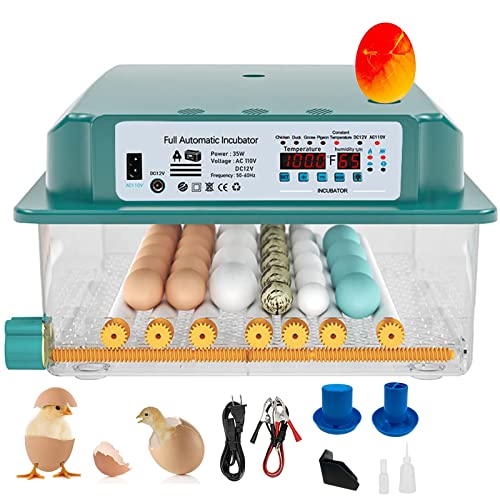 Ganggend 36 Eggs Incubators for Hatching Egg with Automatic Turner, Temperature Control Chickens Quail Egg Incubator, 12V/110V Humidity Monitoring Incubators for Farm Poultry Duck