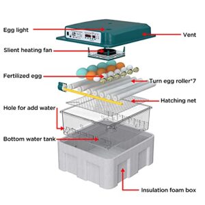 Ganggend 36 Eggs Incubators for Hatching Egg with Automatic Turner, Temperature Control Chickens Quail Egg Incubator, 12V/110V Humidity Monitoring Incubators for Farm Poultry Duck