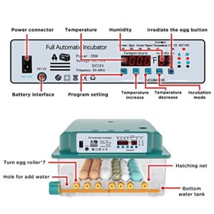 Ganggend 36 Eggs Incubators for Hatching Egg with Automatic Turner, Temperature Control Chickens Quail Egg Incubator, 12V/110V Humidity Monitoring Incubators for Farm Poultry Duck