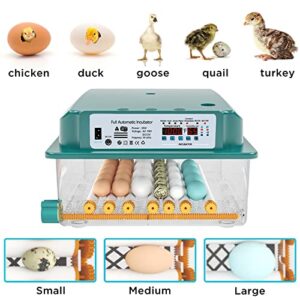 Ganggend 36 Eggs Incubators for Hatching Egg with Automatic Turner, Temperature Control Chickens Quail Egg Incubator, 12V/110V Humidity Monitoring Incubators for Farm Poultry Duck