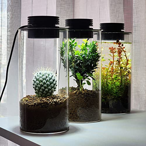 AREPK Desktop Glass Plant Terrarium with Grow Light (H:7.8" D:4"), for Succulent, Moss, Miniature Gardening Landscape, Betta Fish Tank, Indoor Plant Growth, Office Home Decoration, Plant Lovers Gifts