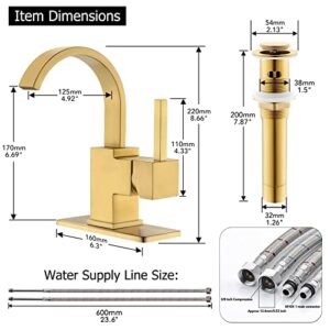 Phiestina Brushed Gold Single Hole Bathroom Faucet, Waterfall Single Handle 1 or 3 Hole RV Bathroom Faucet, Swivel 360 Degree with Deck Plate, Pop Up Drain and Water Supply Line, SGF05-BG-2