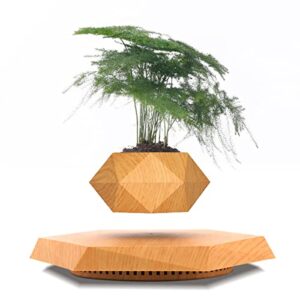 HCNT Levitating Plant Pot, Magnetic Levitation Flower Pot Rotating Planters Suspension Floating Plant Succulents Potted for Home Living Room Office Desk Decoration (Wood)