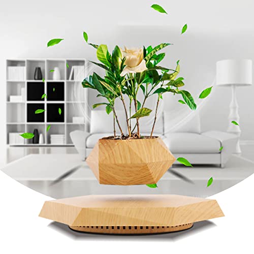 HCNT Levitating Plant Pot, Magnetic Levitation Flower Pot Rotating Planters Suspension Floating Plant Succulents Potted for Home Living Room Office Desk Decoration (Wood)