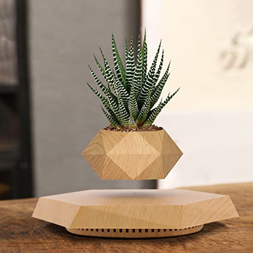 HCNT Levitating Plant Pot, Magnetic Levitation Flower Pot Rotating Planters Suspension Floating Plant Succulents Potted for Home Living Room Office Desk Decoration (Wood)