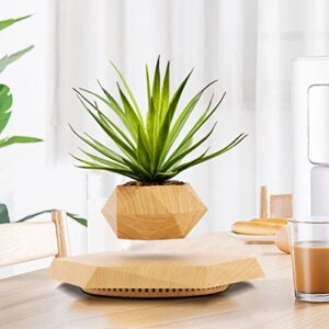 HCNT Levitating Plant Pot, Magnetic Levitation Flower Pot Rotating Planters Suspension Floating Plant Succulents Potted for Home Living Room Office Desk Decoration (Wood)