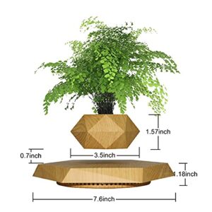 HCNT Levitating Plant Pot, Magnetic Levitation Flower Pot Rotating Planters Suspension Floating Plant Succulents Potted for Home Living Room Office Desk Decoration (Wood)