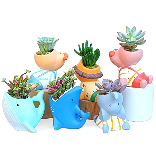 Succulent Pots - Small Succulent Planters Pots with Drainage Set of 6, Cute Cartoon Animal Planter Pots Ceramic Pots for Indoor Cactus Plants Tiny Flower Bonsai Planter Container for Home Garden