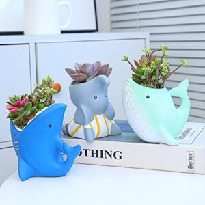 Succulent Pots - Small Succulent Planters Pots with Drainage Set of 6, Cute Cartoon Animal Planter Pots Ceramic Pots for Indoor Cactus Plants Tiny Flower Bonsai Planter Container for Home Garden